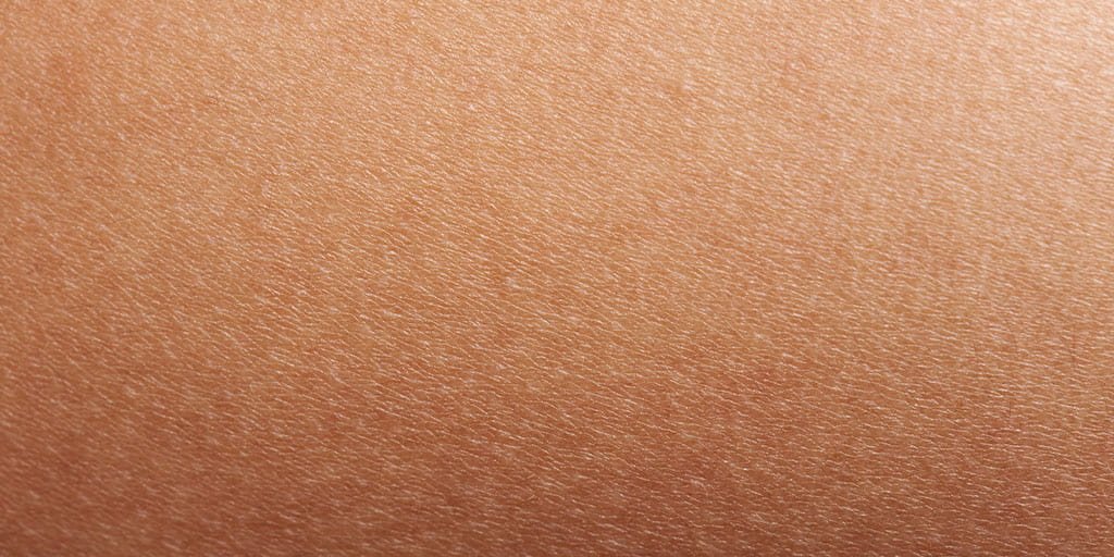 Skin allergy and other main types of allergic reactions : causes ...